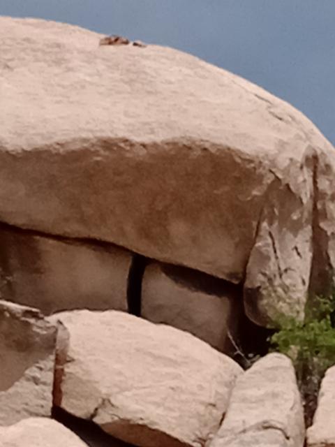 Madran Canavarı Çine'de keyif yaparken görüntülendi - Çine Madran ...